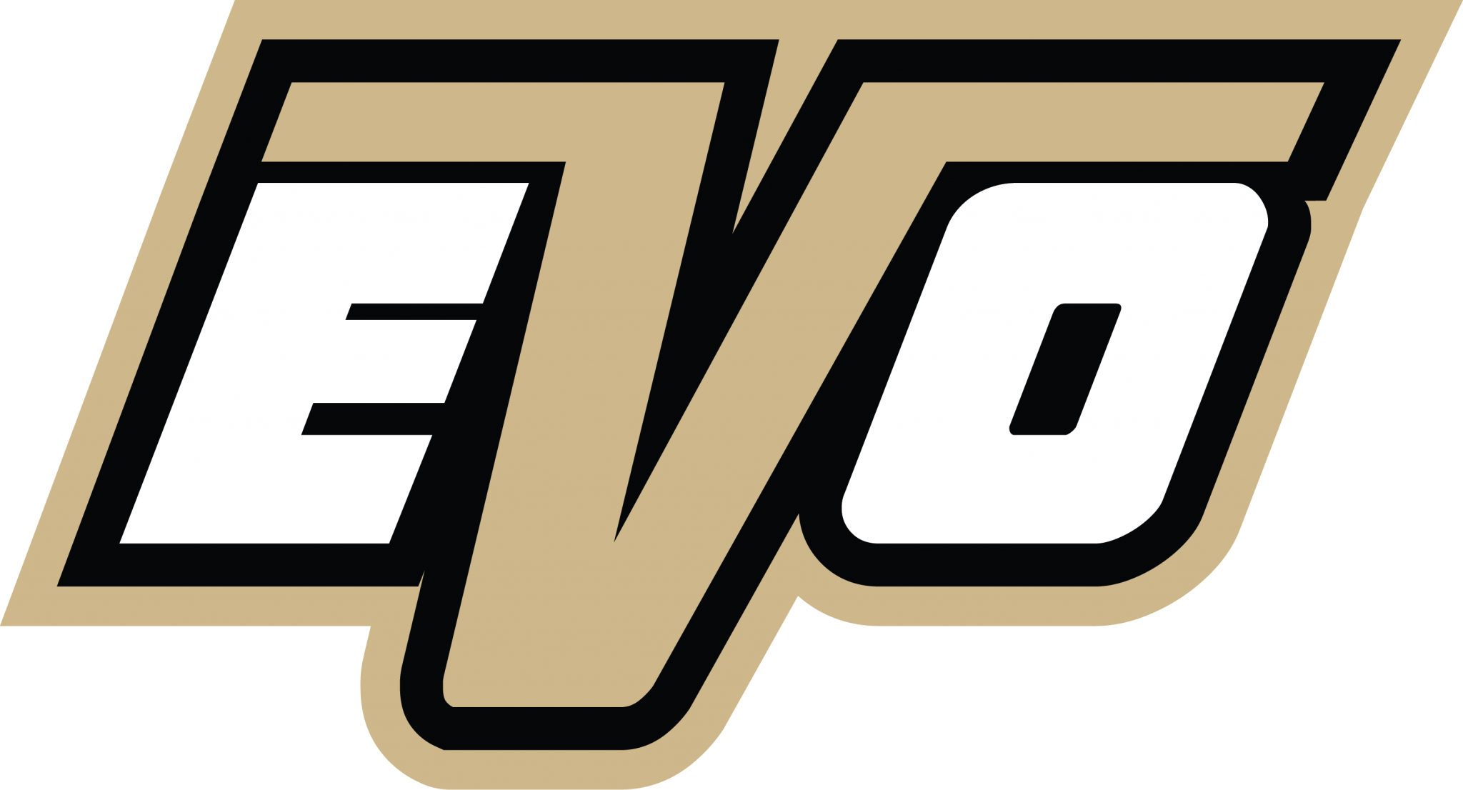 EVO Baseball | Premier Travel Baseball