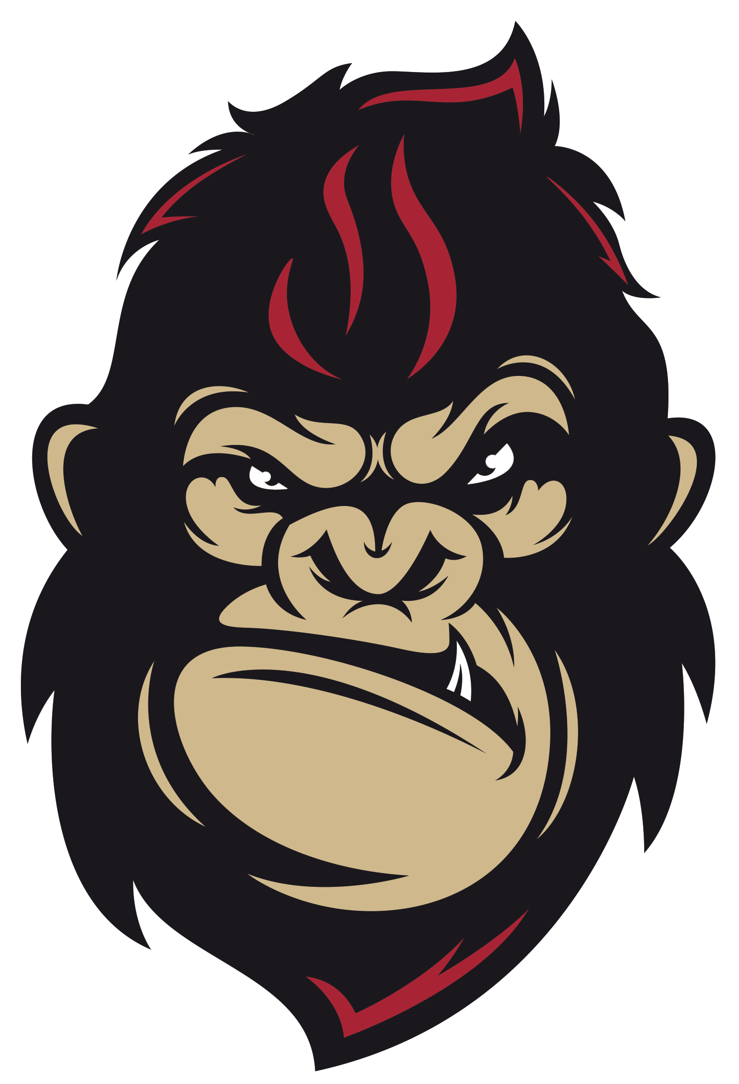 EVO Baseball Tryouts